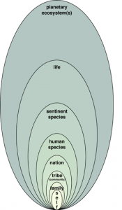 Identity tree — spheres of relation and concern | Solving for Pattern