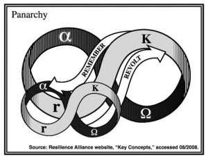 Panarchy and pace in the big back loop | Solving for Pattern