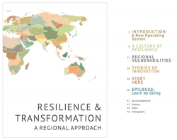 Resilience as persistence, adaptability, transformability | Solving for ...